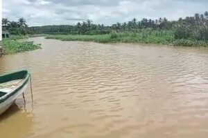 Contaminación del río en Boca de Aroa por derrame petrolero reportan ...