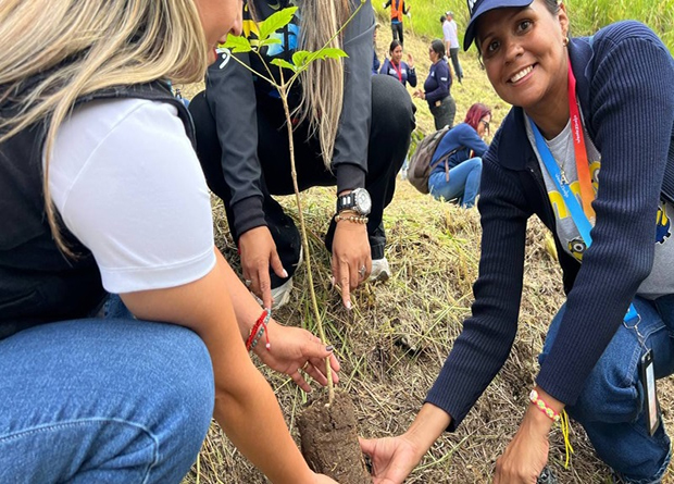 Efectúan jornada de reforestación en el Parque Waraira Repano | El Aragueño